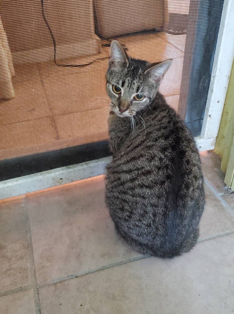 APL website – APL website